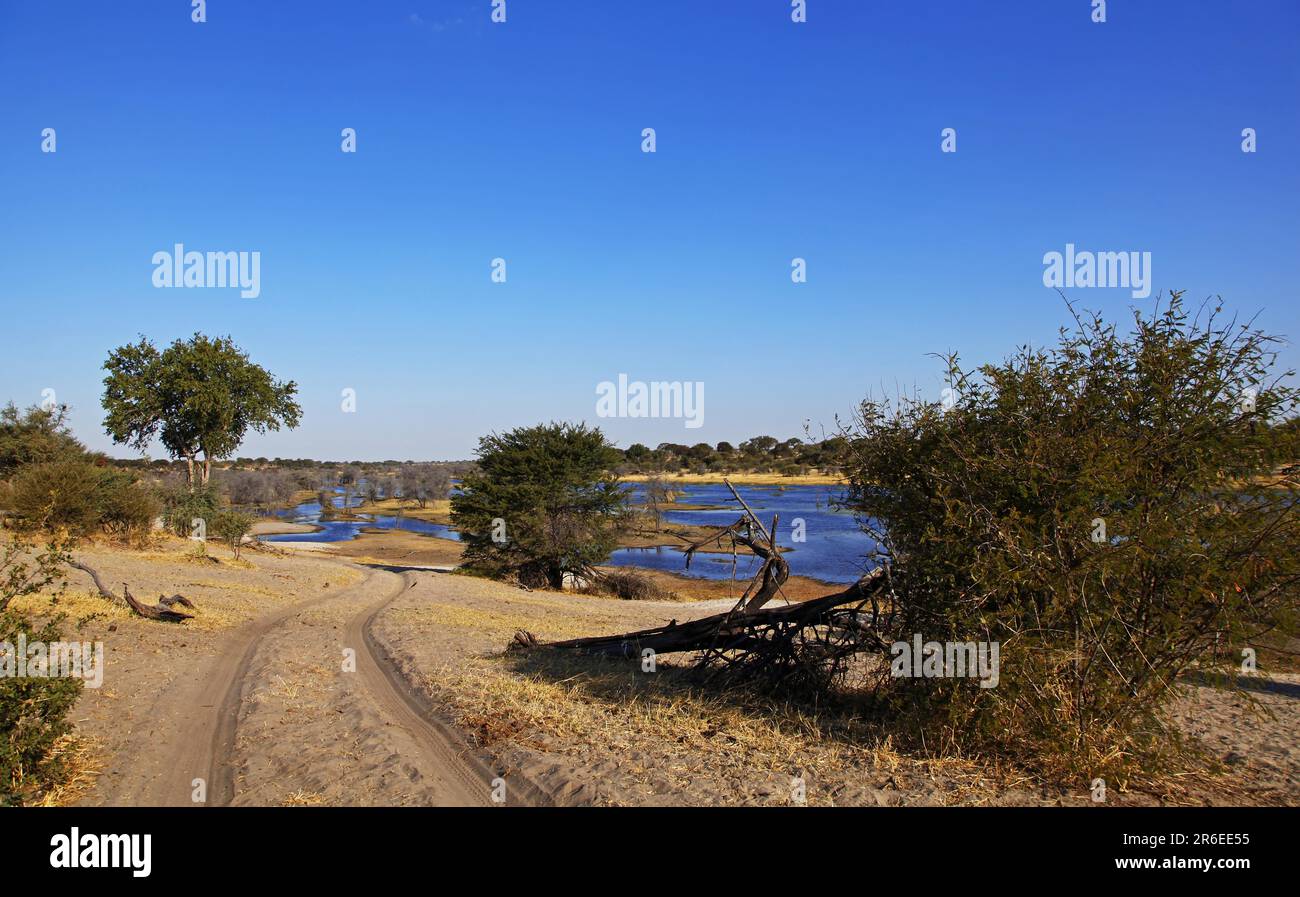 Landschaft im Makgadikgadi Pans National Park am Boteti, Botswana ...