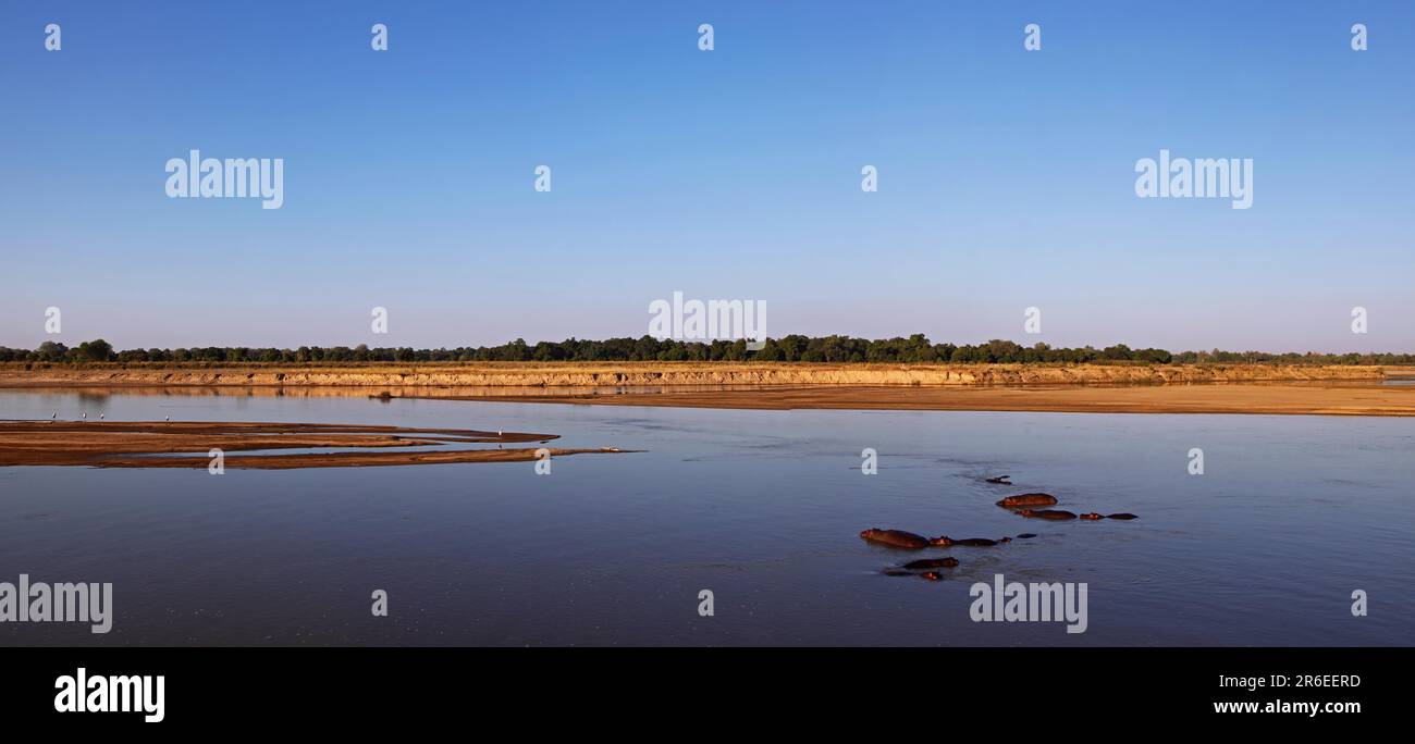Natural paradise Luangwa River (panorama shot) South Luangwa National ...
