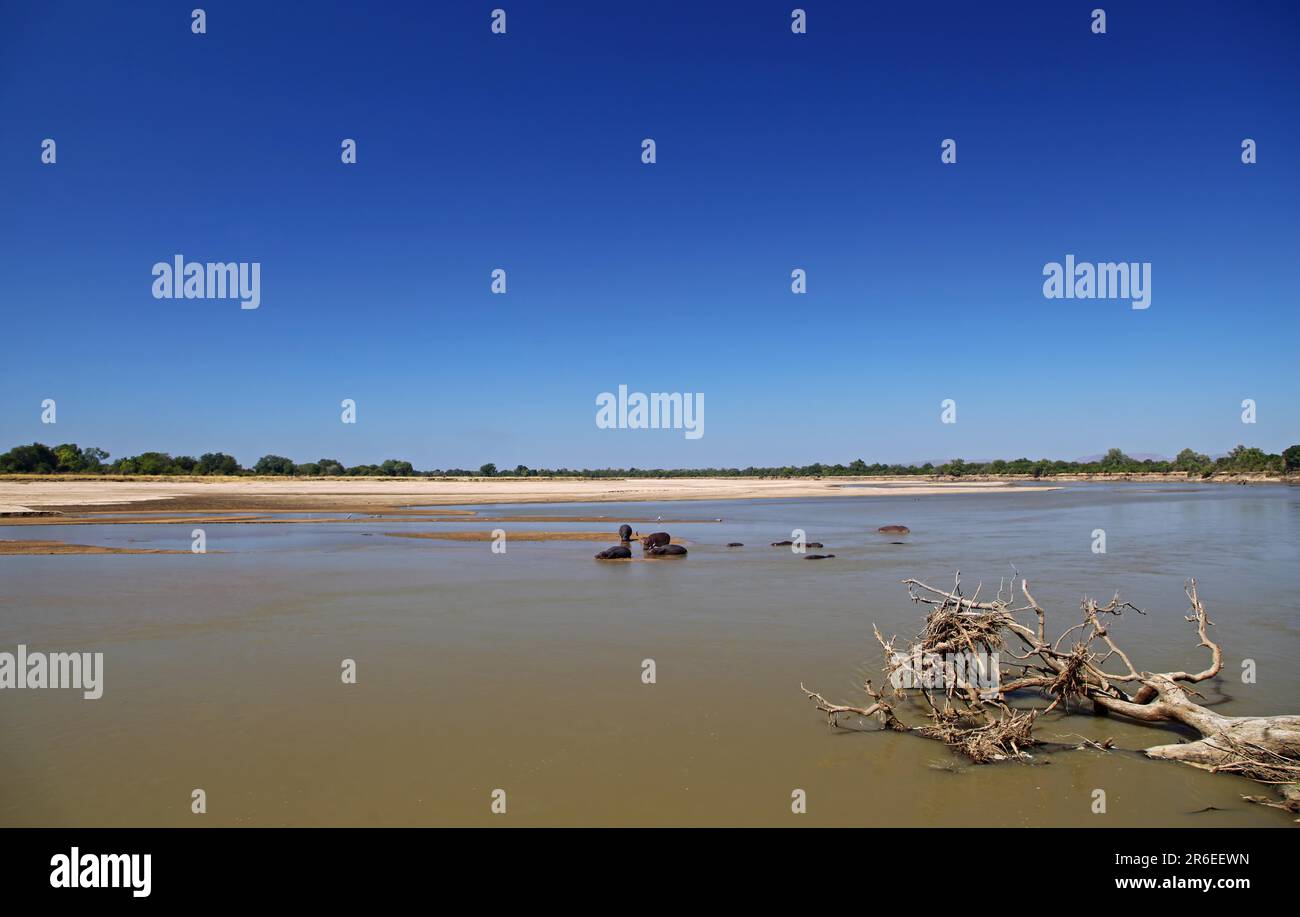 Luangwan national park hi-res stock photography and images - Alamy
