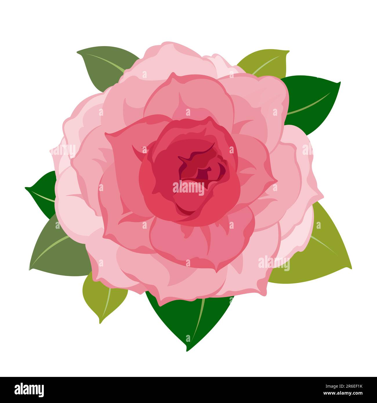 Beauty of botanical detail Stock Vector Images - Alamy