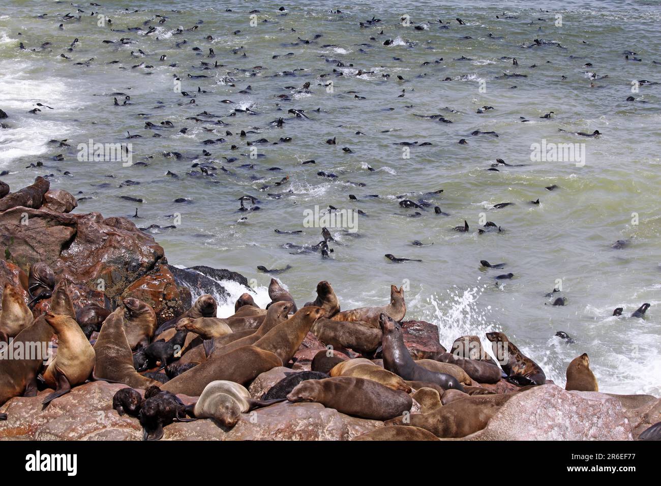 African colony hi-res stock photography and images - Alamy