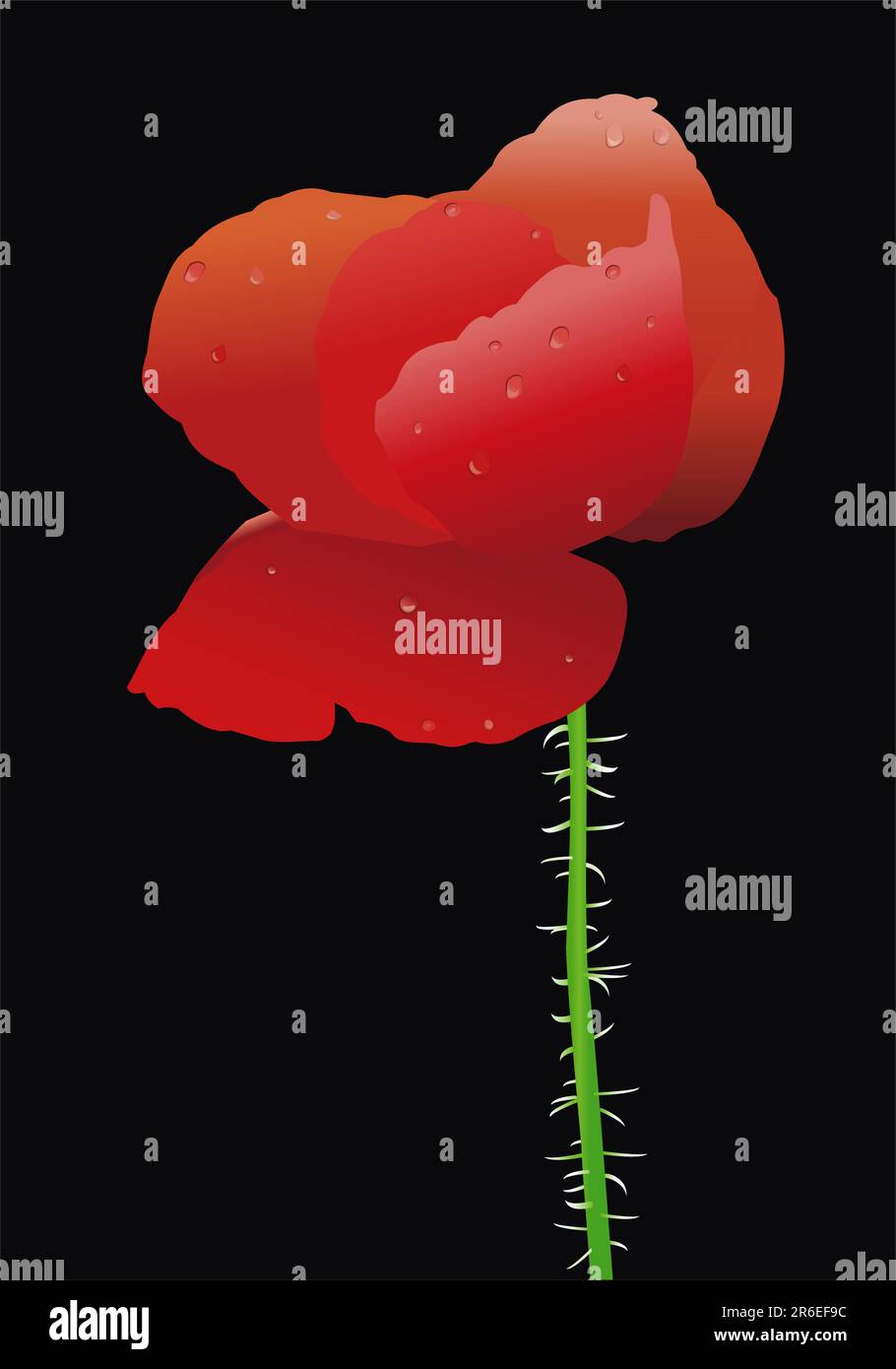 Still on Stock Vector Images - Alamy