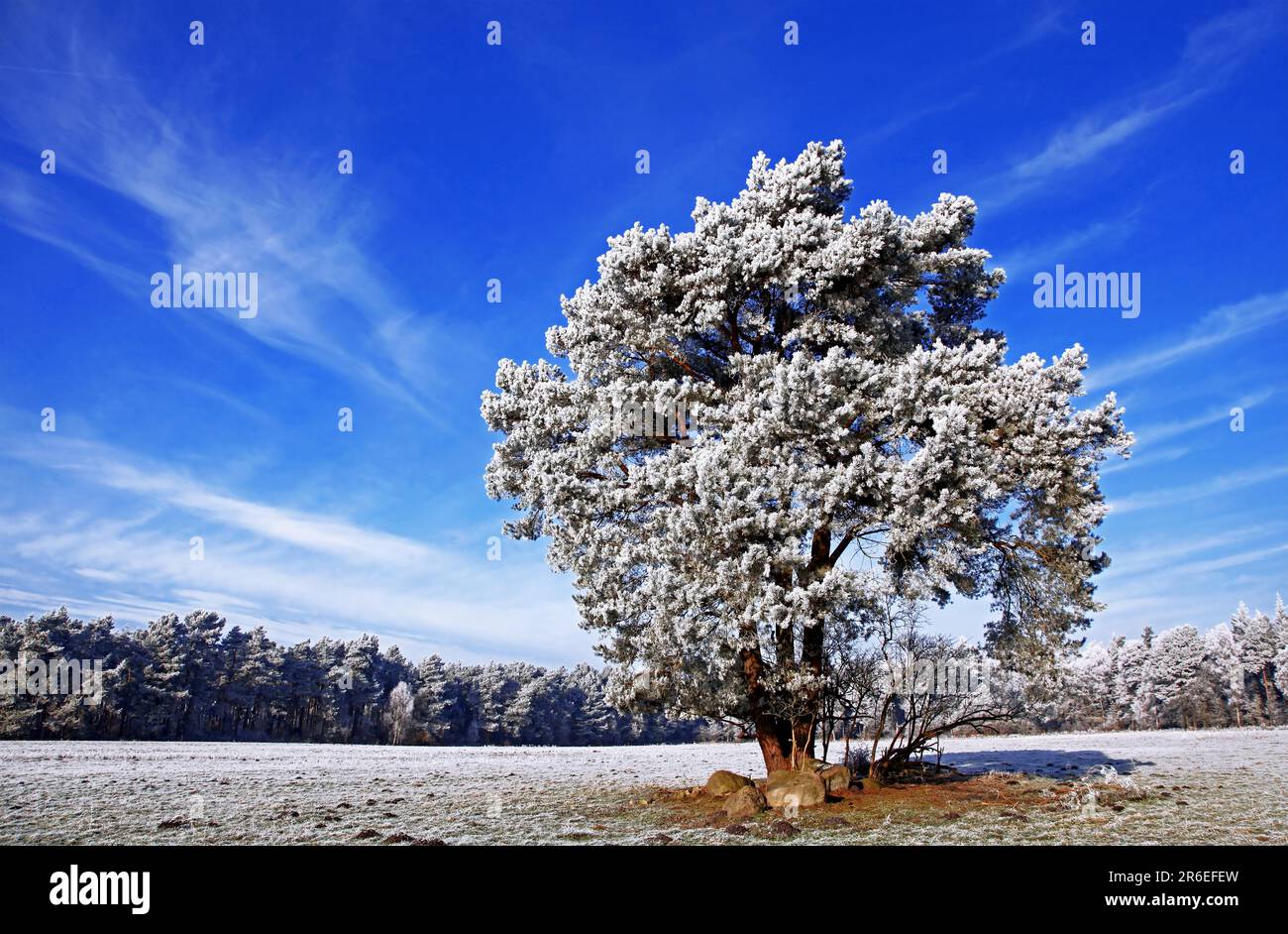 Winter in Germany, winter in Germany Stock Photo - Alamy