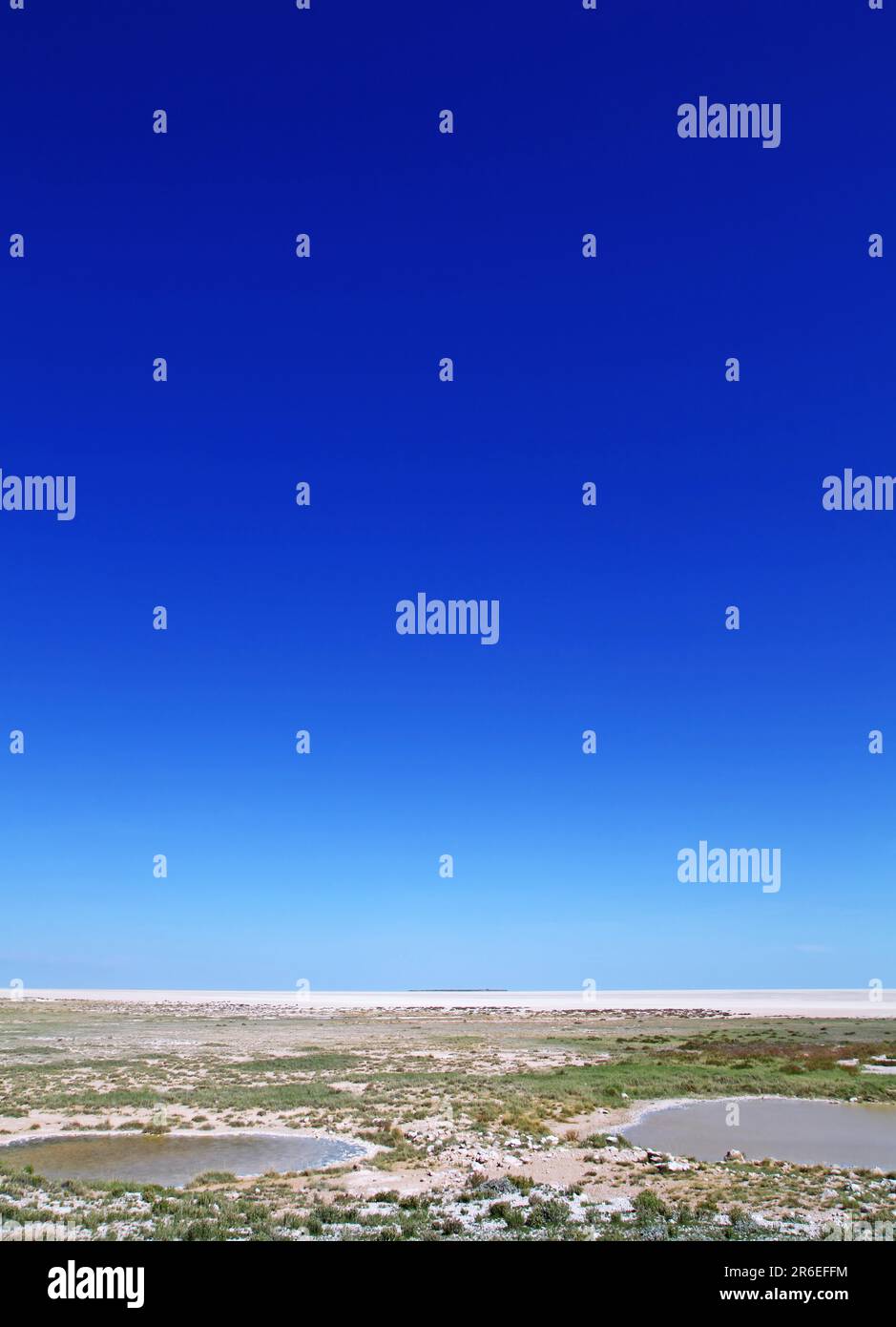 Landscape at Etosha pan, Namibia, landscape at Etosha pan, Namibia ...