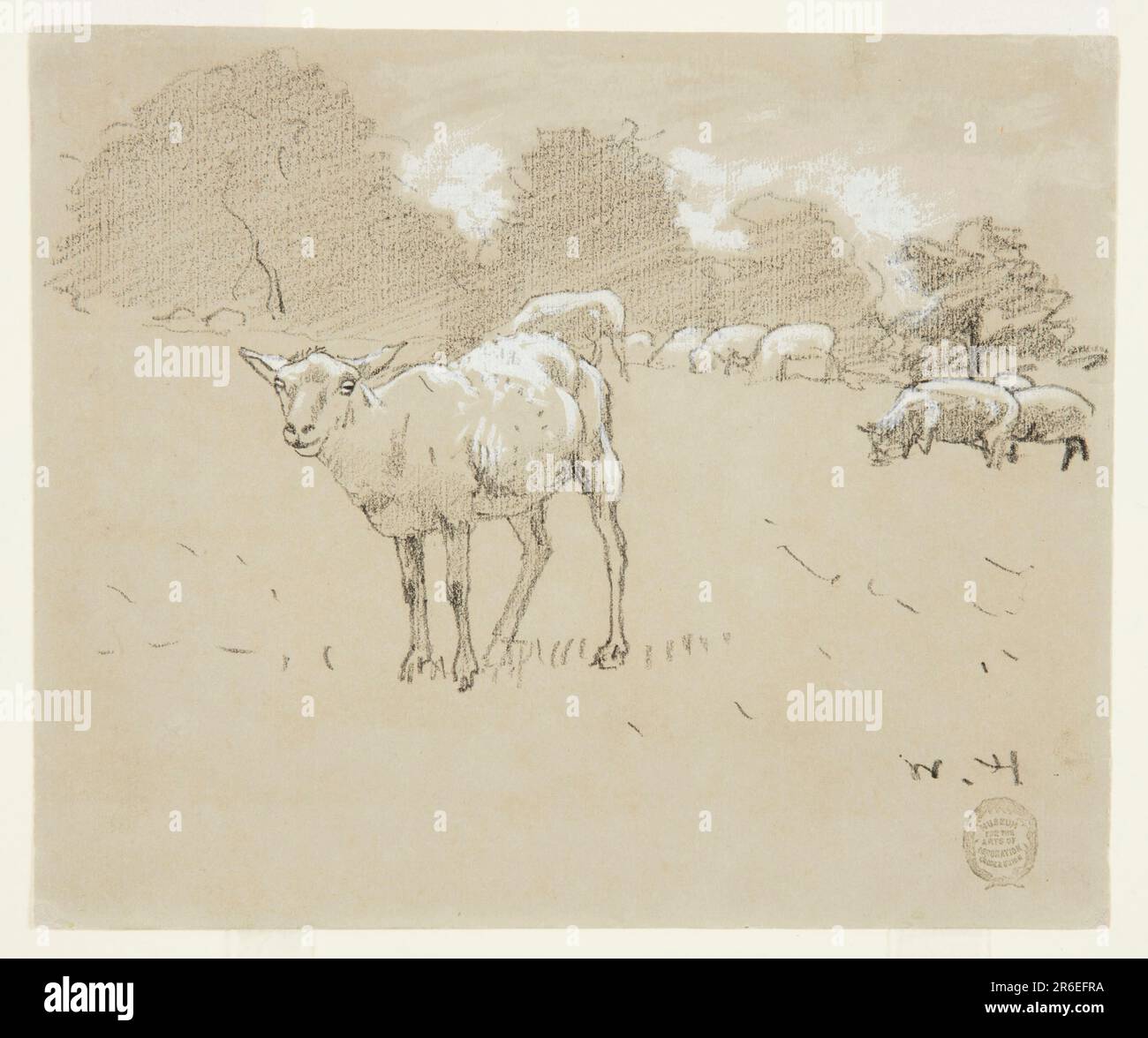 Horizontal view of sheep grazing in a field, with a row of trees in ...