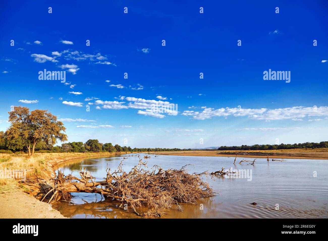 Luangwa river hi-res stock photography and images - Alamy