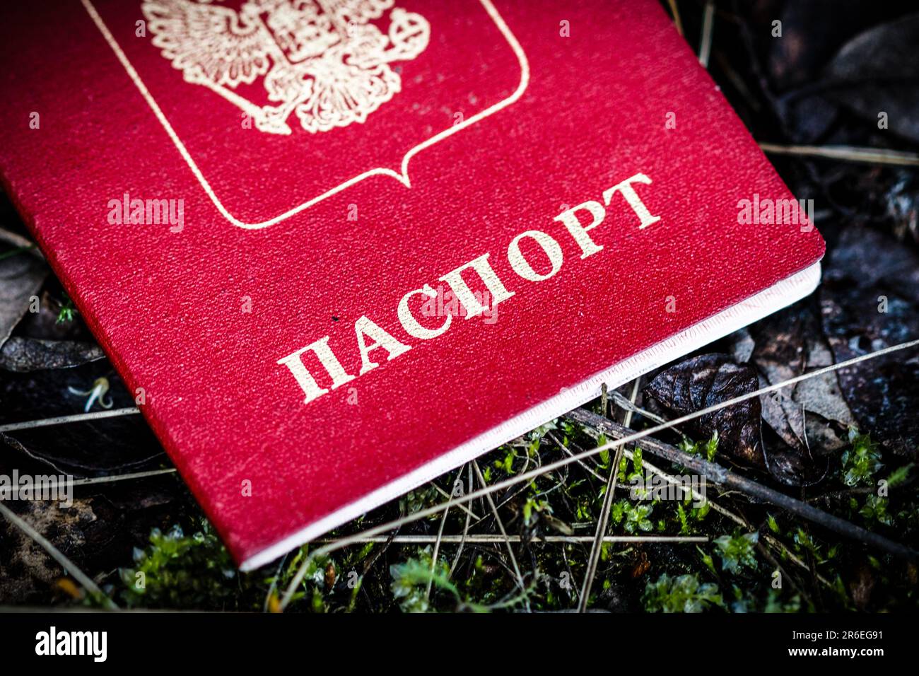 Russian Passport Close Up National Id Of The Russian Federation