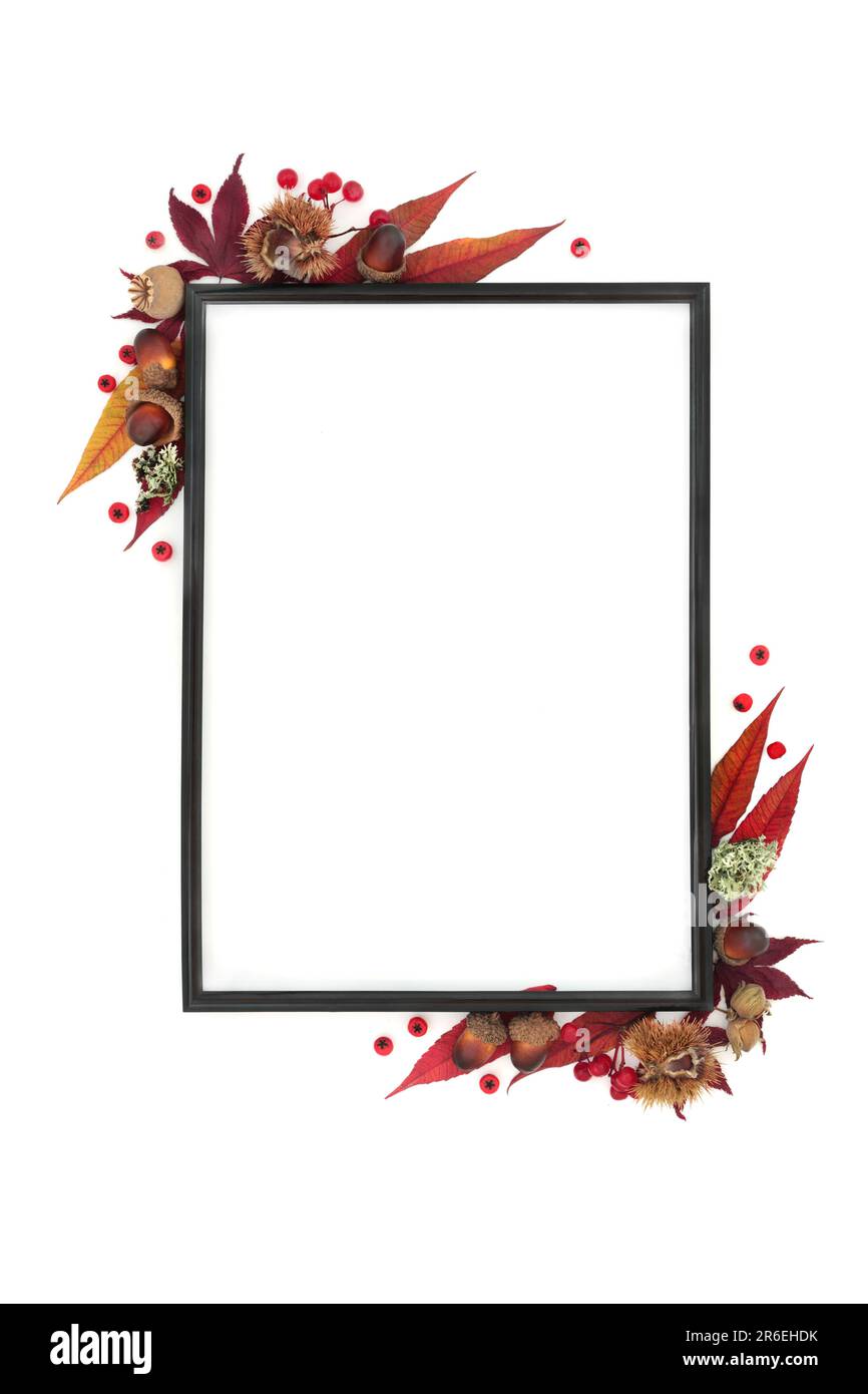 Elegant Autumn Border