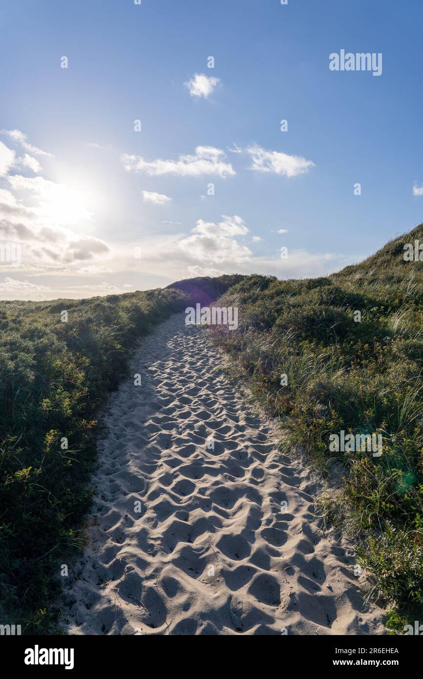 A sandy path winding up a hill, leading to a beautiful vista in ...