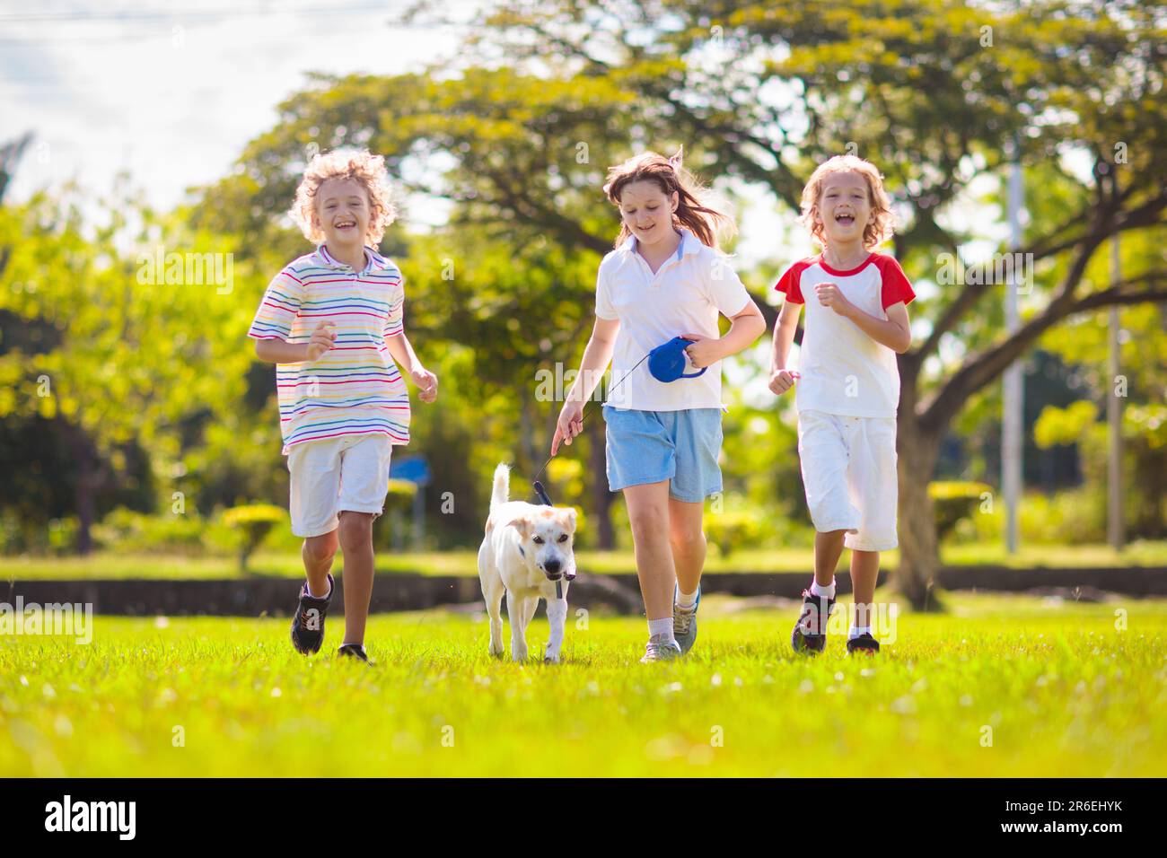 Family with kids running outdoor on sunny summer day. Siblings play in ...