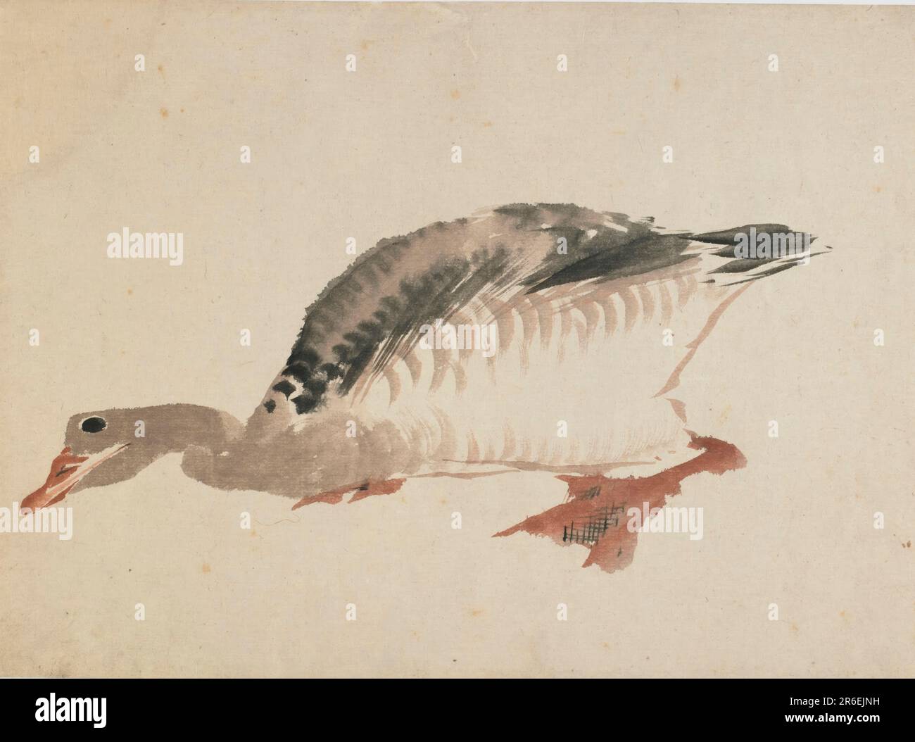 Goose. Origin: Japan. Period: Edo period. Date: 1760-1849. Ink and ...