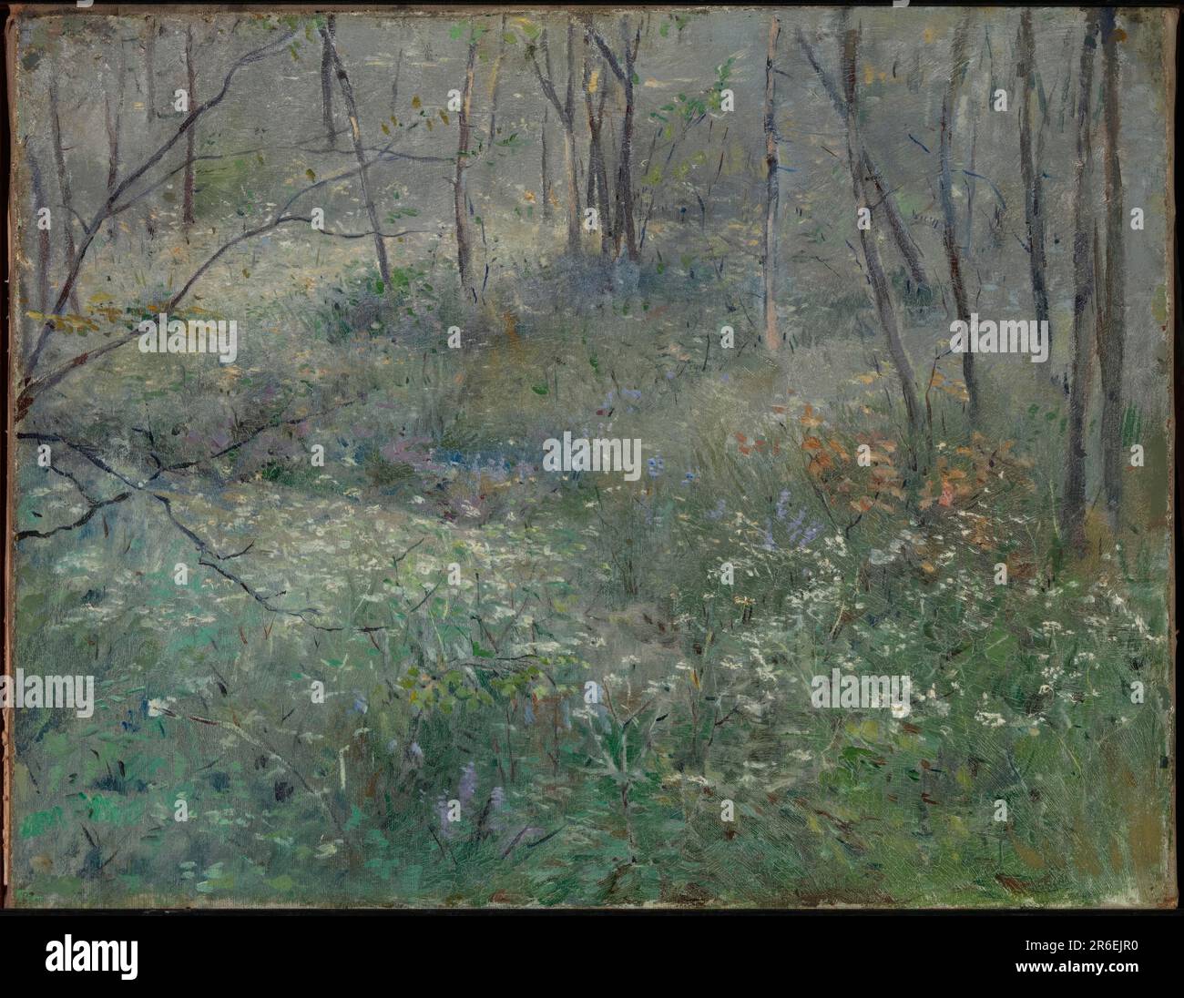 Wild Parsley. oil on canvas. Date: 1900. Museum: Smithsonian American ...