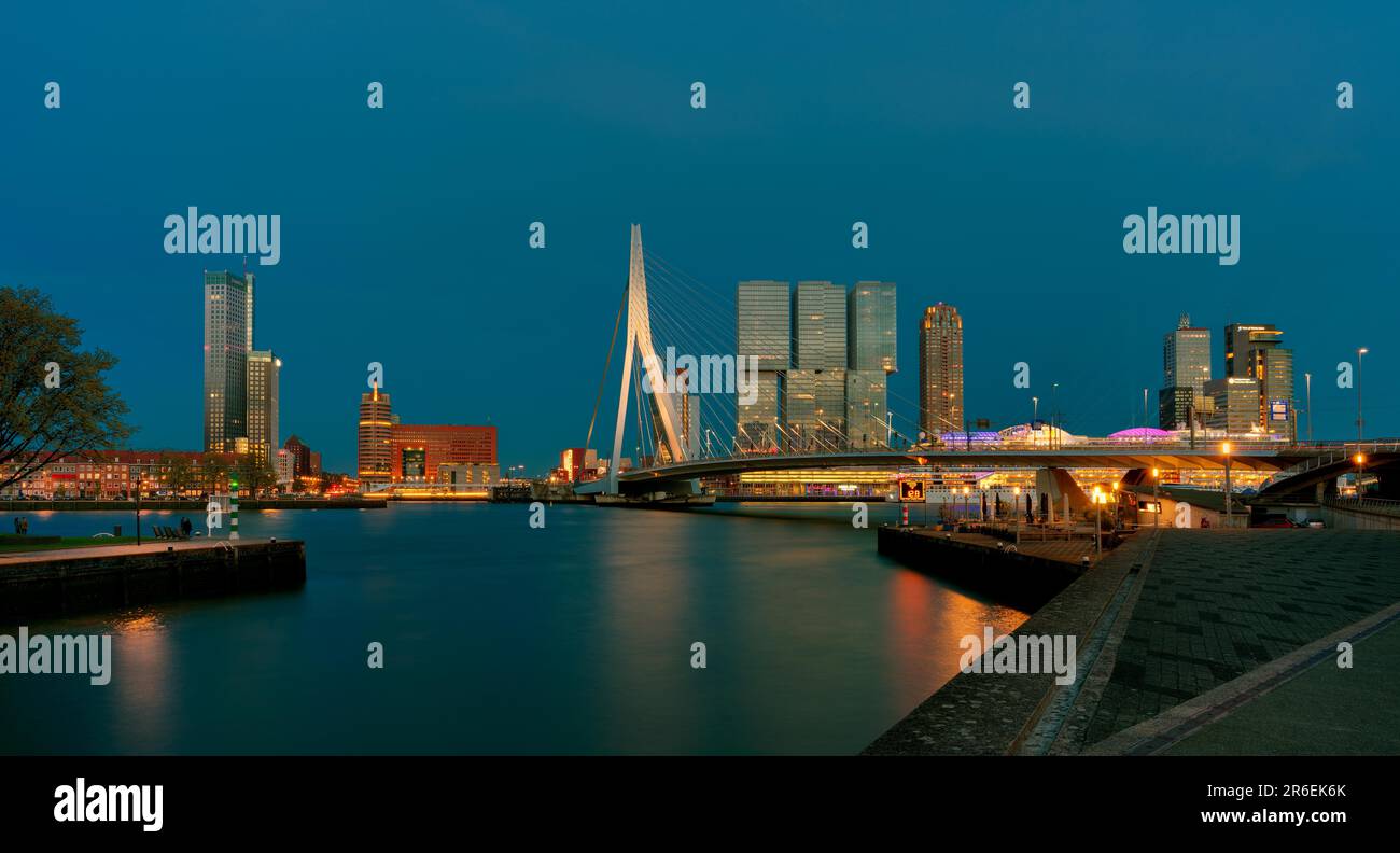 Erasmus Bridge, Rotterdam. Rotterdam Cruise Terminal Stock Photo - Alamy