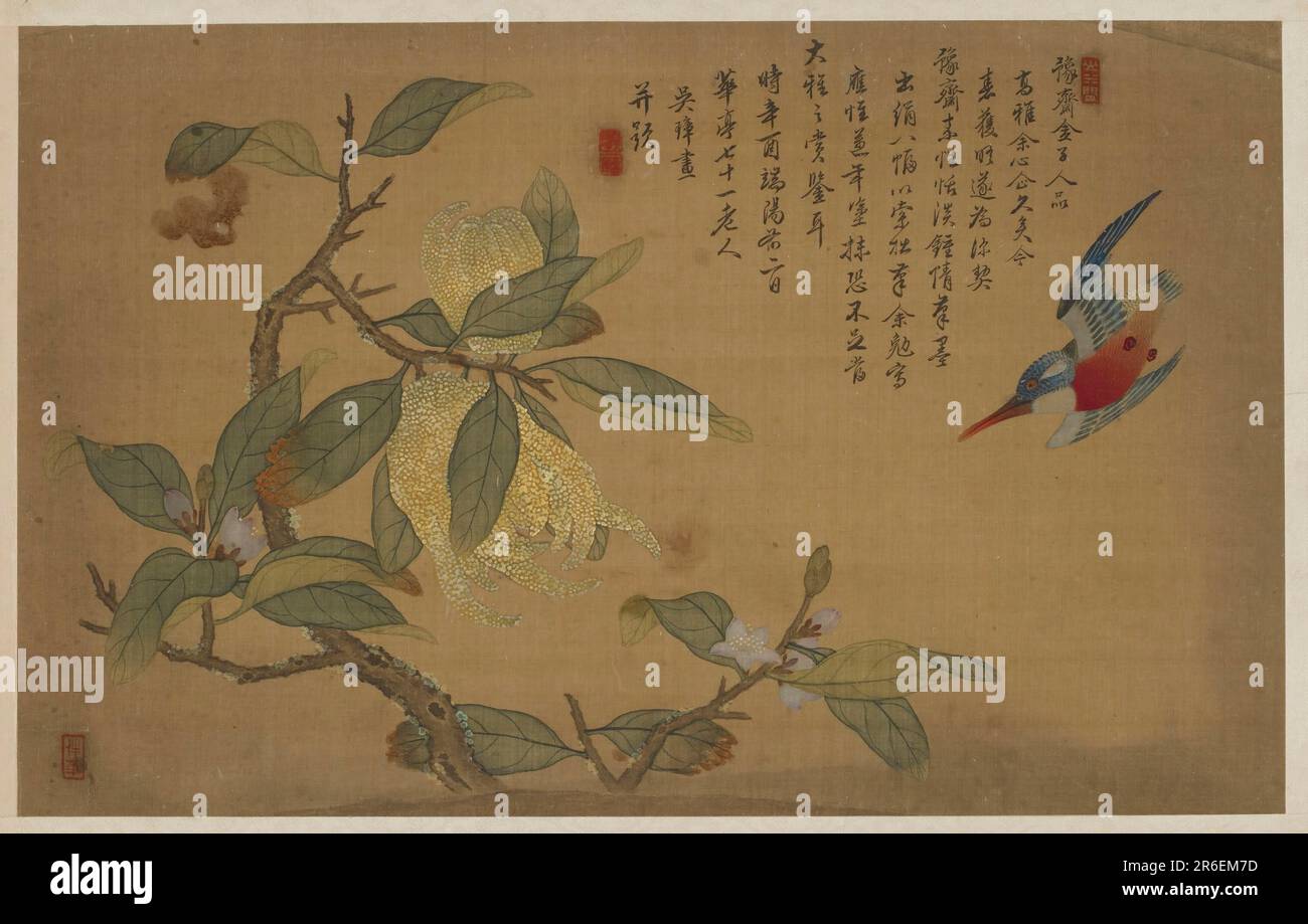 Bird, Fruit, and Flowers. Origin: China. Period: Qing dynasty. Ink and ...