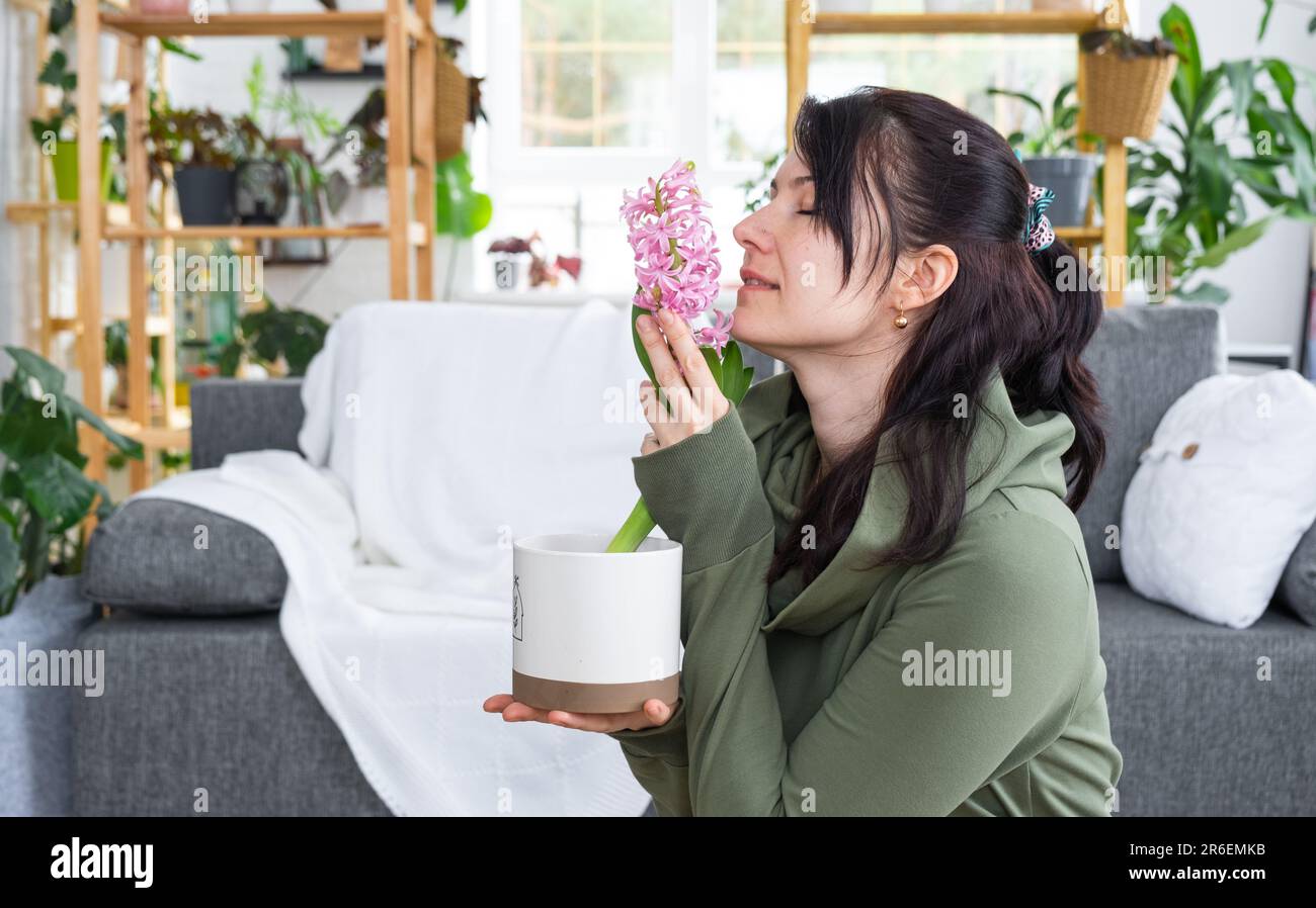 Spring flower hyacinth bloomed at home in a pot in the hands of a woman ...