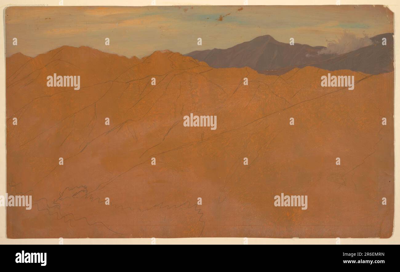 Verso: rough sketch (graphite) of the trunk of a palm. Brush and oil ...