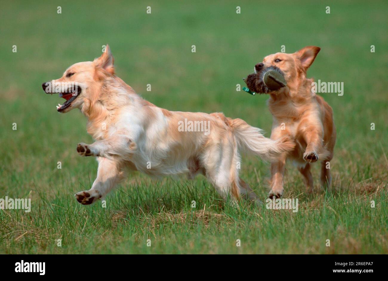 Car dummy hi-res stock photography and images - Alamy