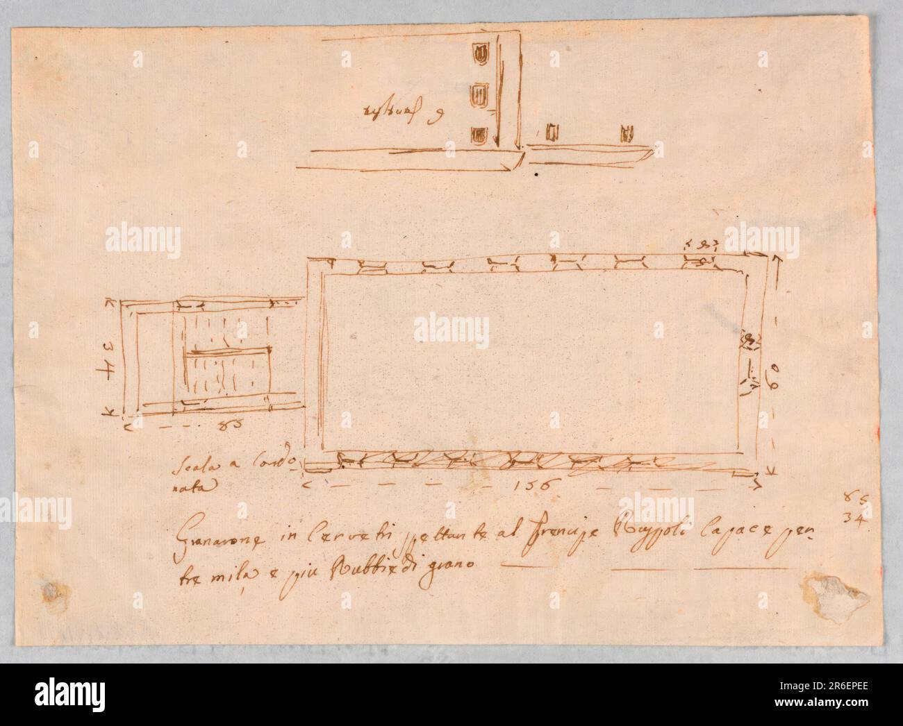 Lateral elevation showing hi-res stock photography and images - Alamy