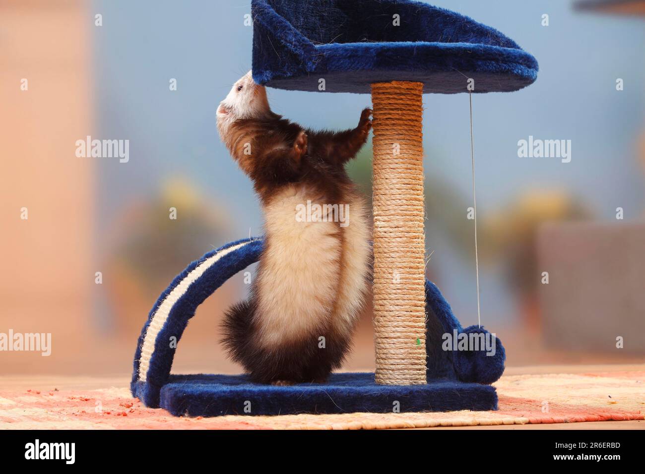 Forma inn hi-res stock photography and images - Alamy