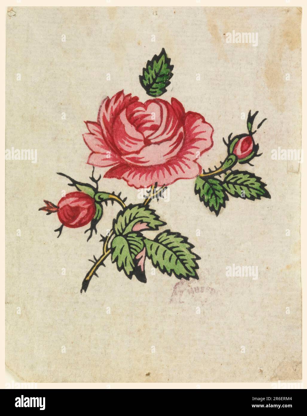 A rose bloom with two buds, with leaves on a single stem. Date: 1790 ...