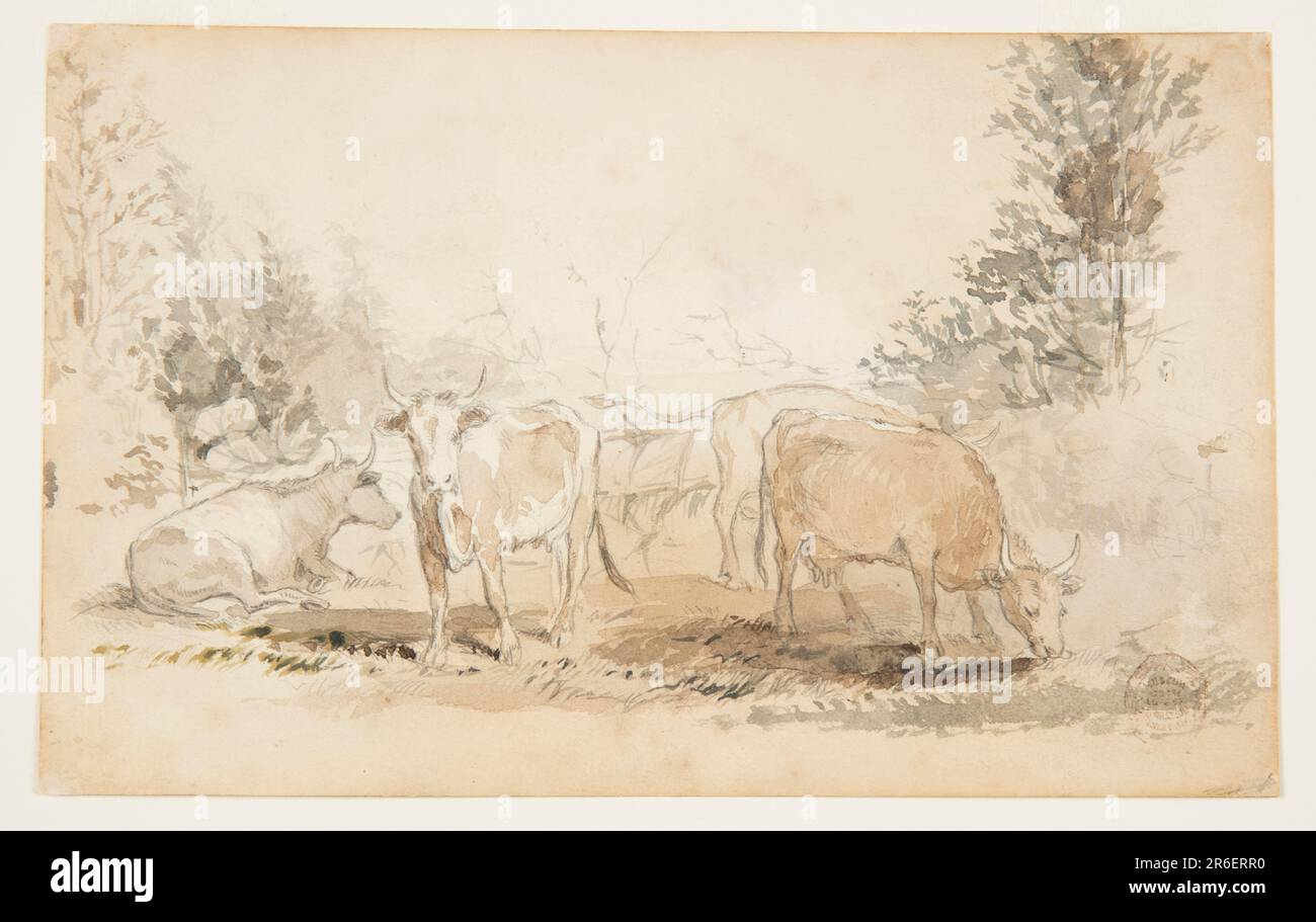 Four cows (one on the ground, one facing the viewer and two grazing) in ...