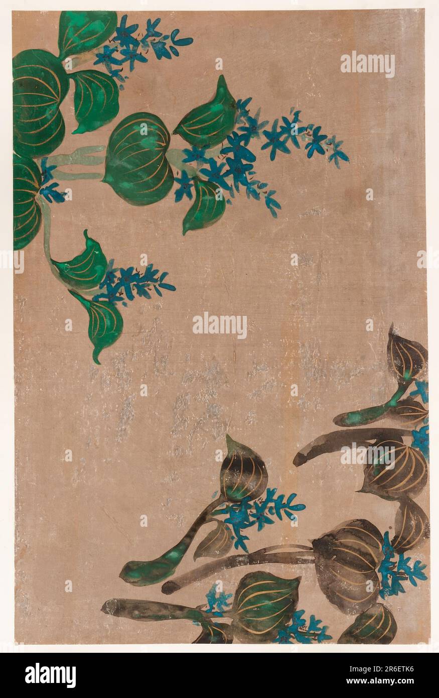Water plants with blue flowers. Origin: Japan. Period: Edo period. Date ...