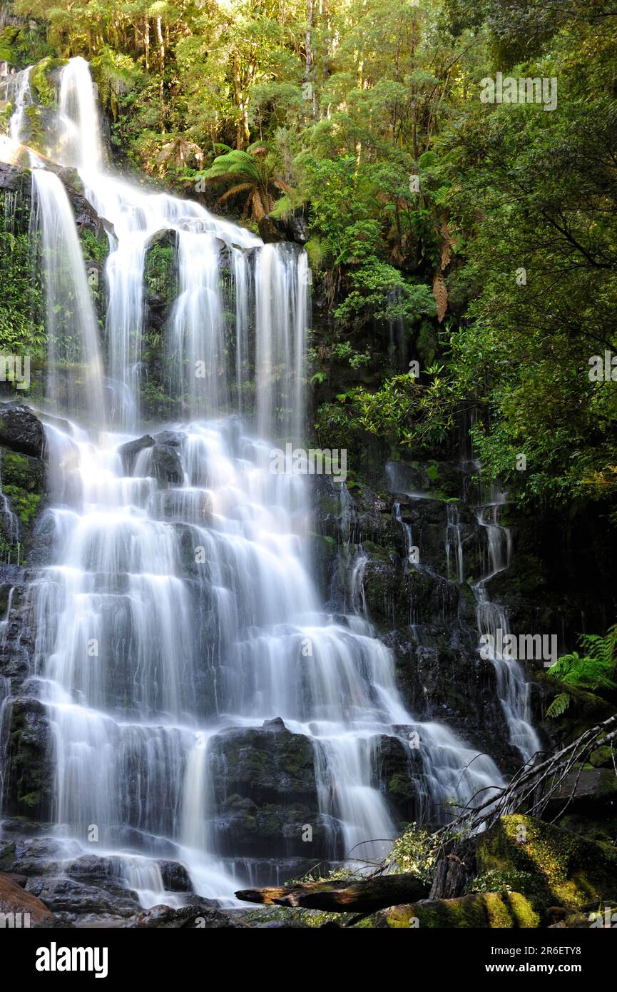 Nelson Falls, Franklin Gordon National Park, Tasmania, Australia Stock Photo - Alamy