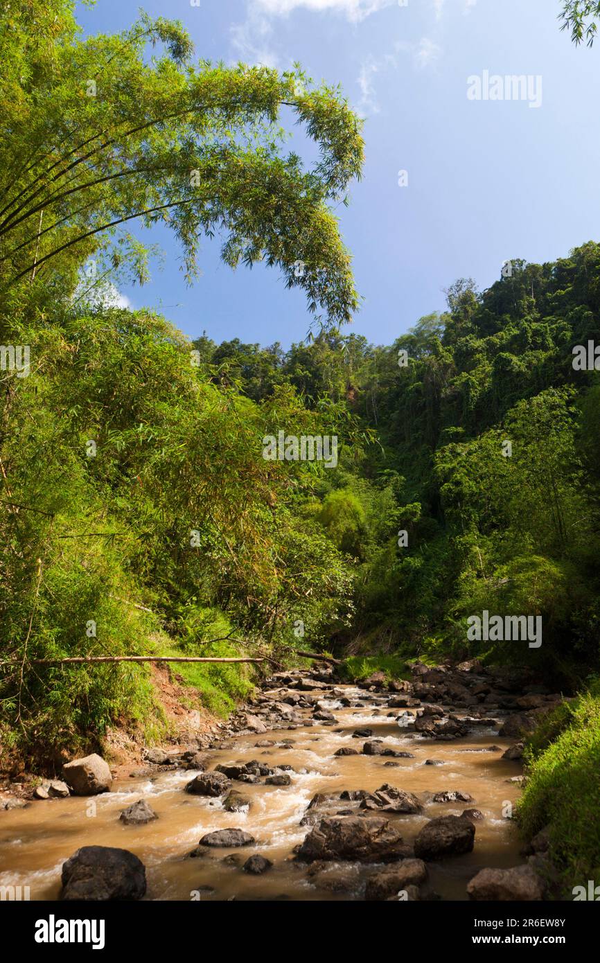 Navua River, Pacific Harbour, Viti Levu, Fiji, Fiji Islands, Navua ...