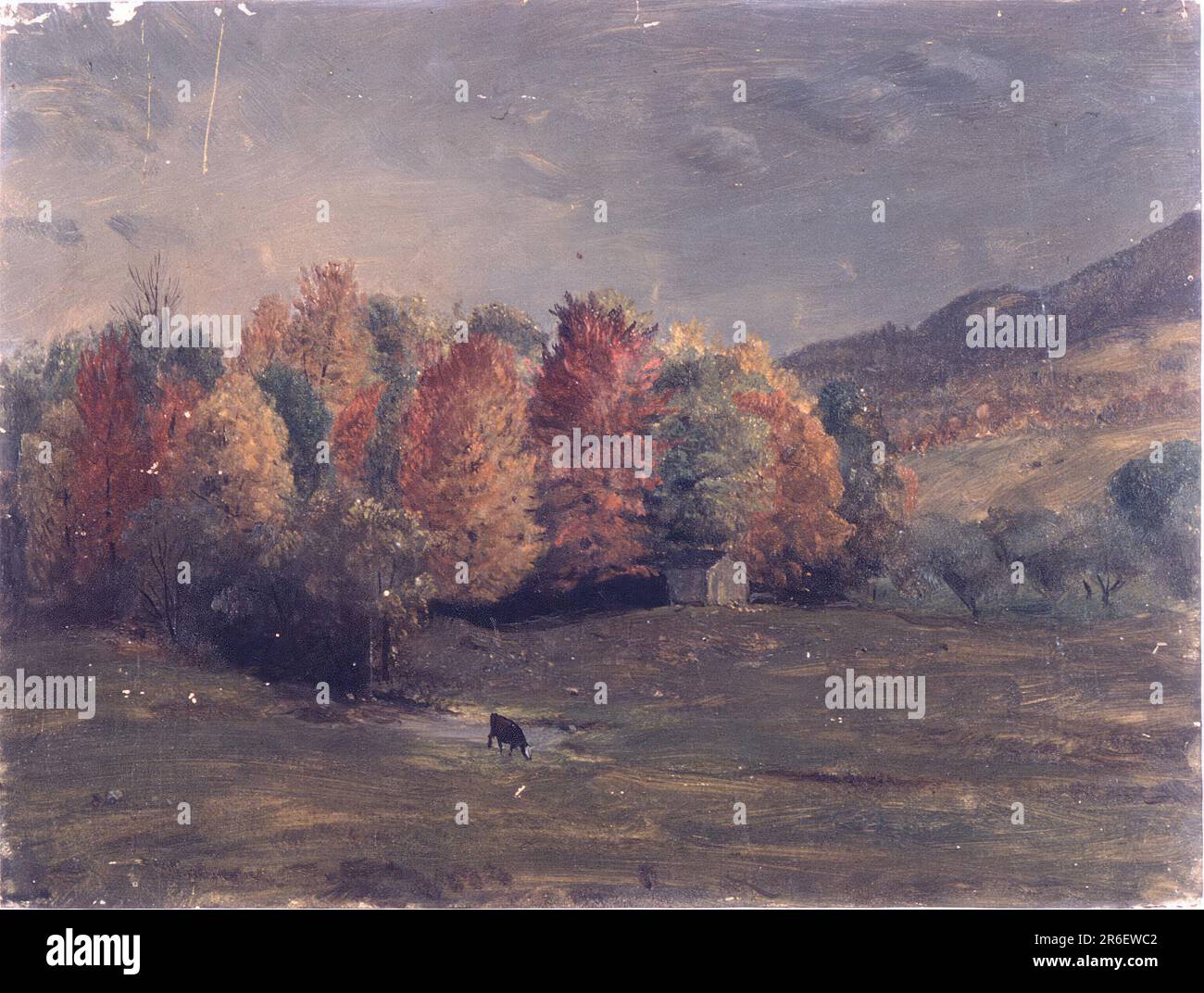 View across a pasture with a grazing cow looking toward a wood, and a ...