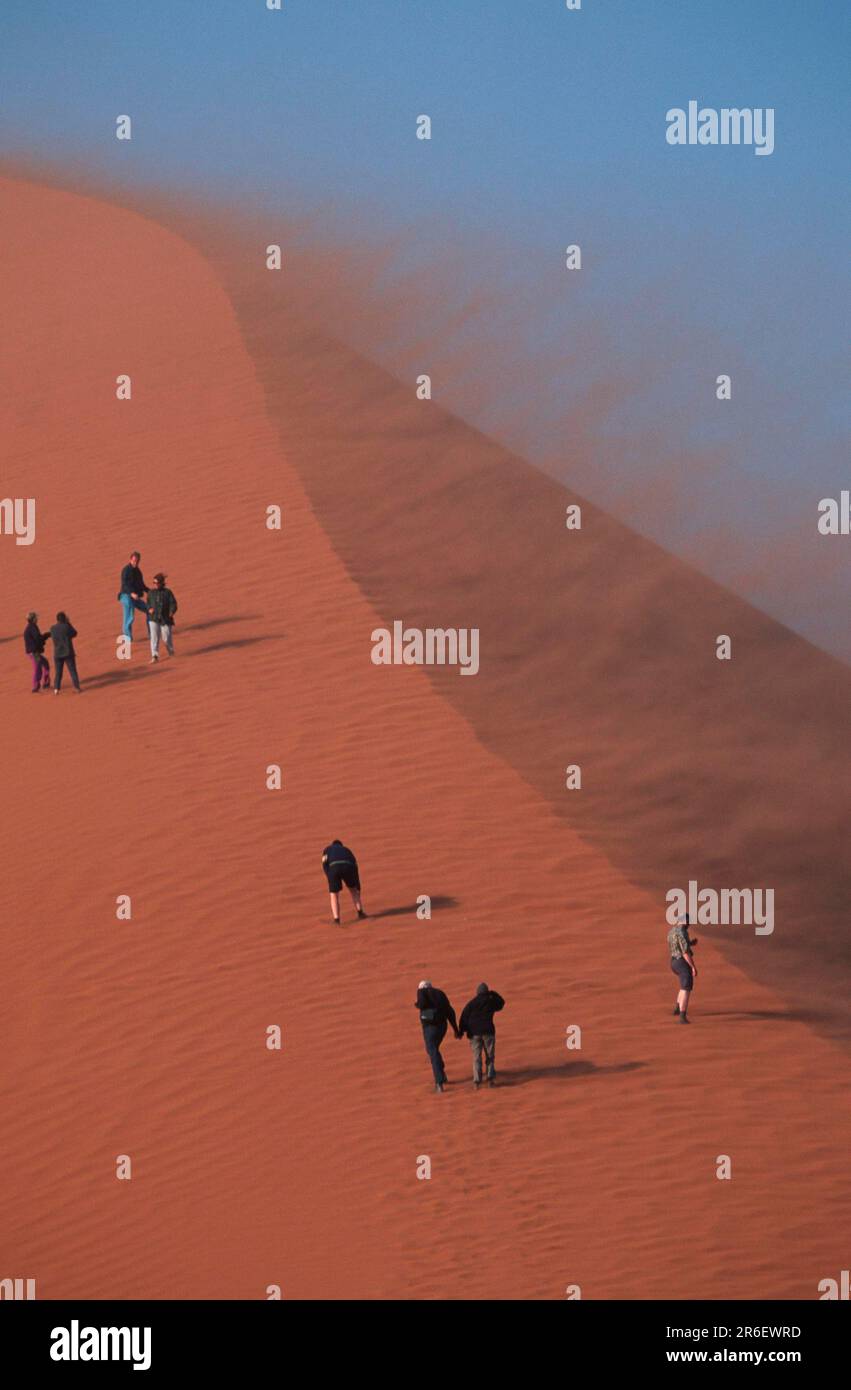 People on Sand Dune 45, people on sand dune, Namib Desert, sand dunes ...
