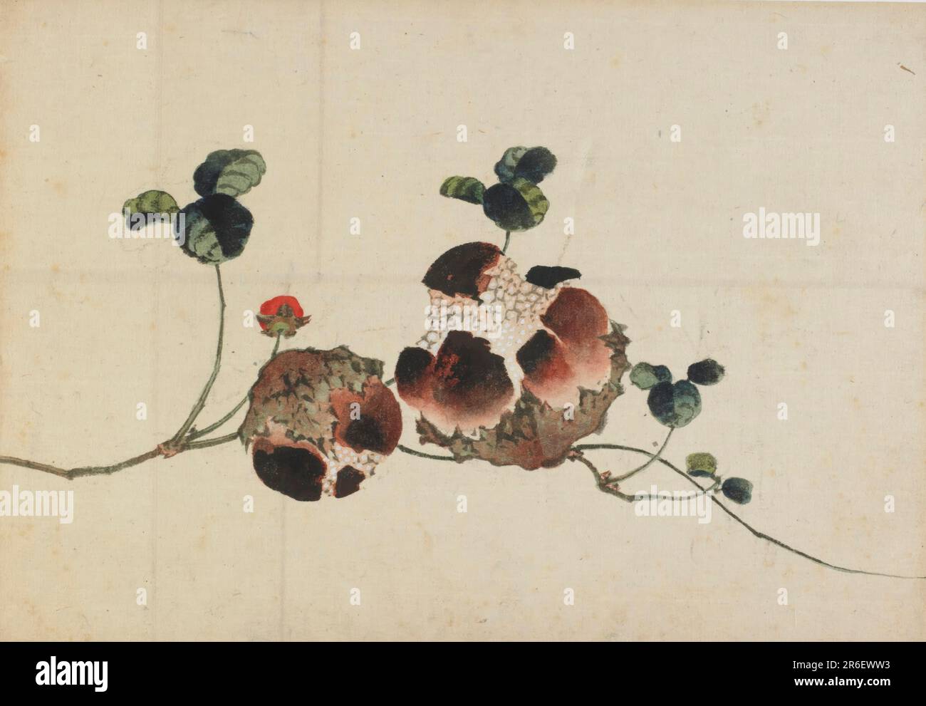 Zen painting fruit hi-res stock photography and images - Alamy