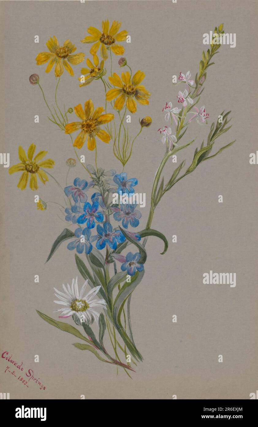 (Untitled, Group of Flowers). Date: 1883. Watercolor on paper. Museum ...