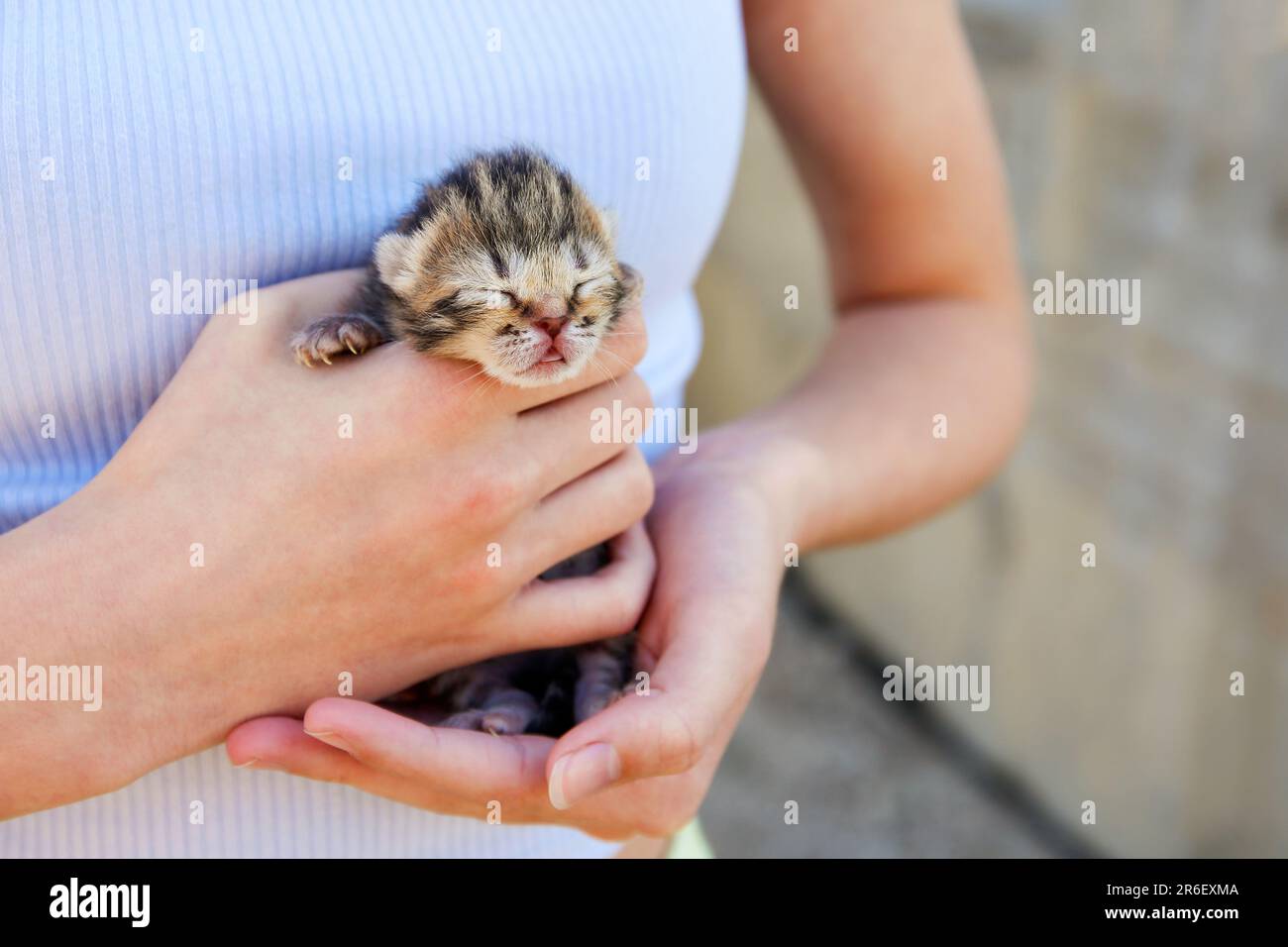 Newborn kitten in her arms hi-res stock photography and images - Alamy