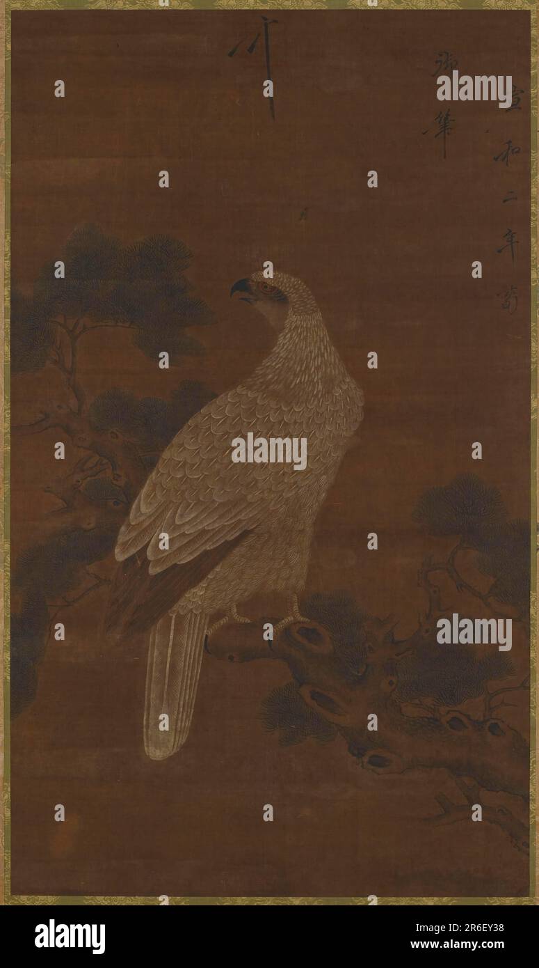 A White eagle on a pine branch. Origin: China. Period: Ming or Qing ...