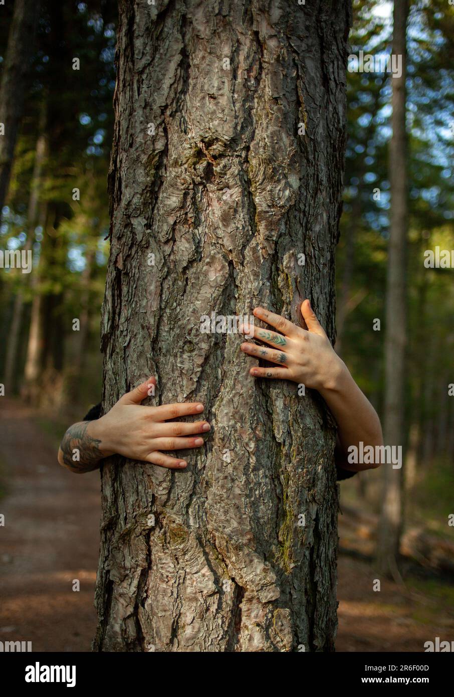 One young woman hugging tree with her arms. Concept of love for nature ...