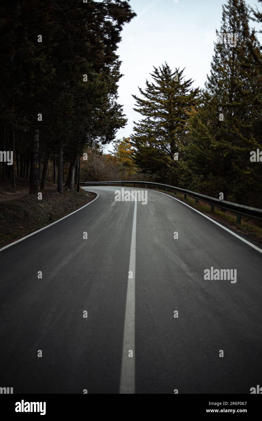 Empty forest road signs hi-res stock photography and images - Alamy