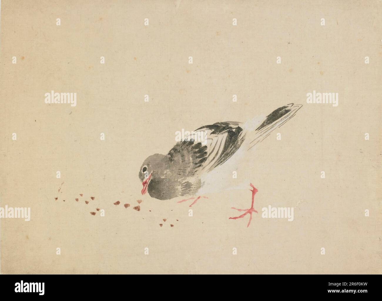 Pigeon. Origin: Japan. Period: Edo period. Date: 1760-1849. Ink and ...