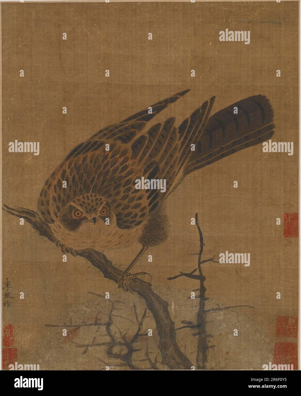Hawk on a leafless branch. Origin: China. Ink and color on silk. Date ...