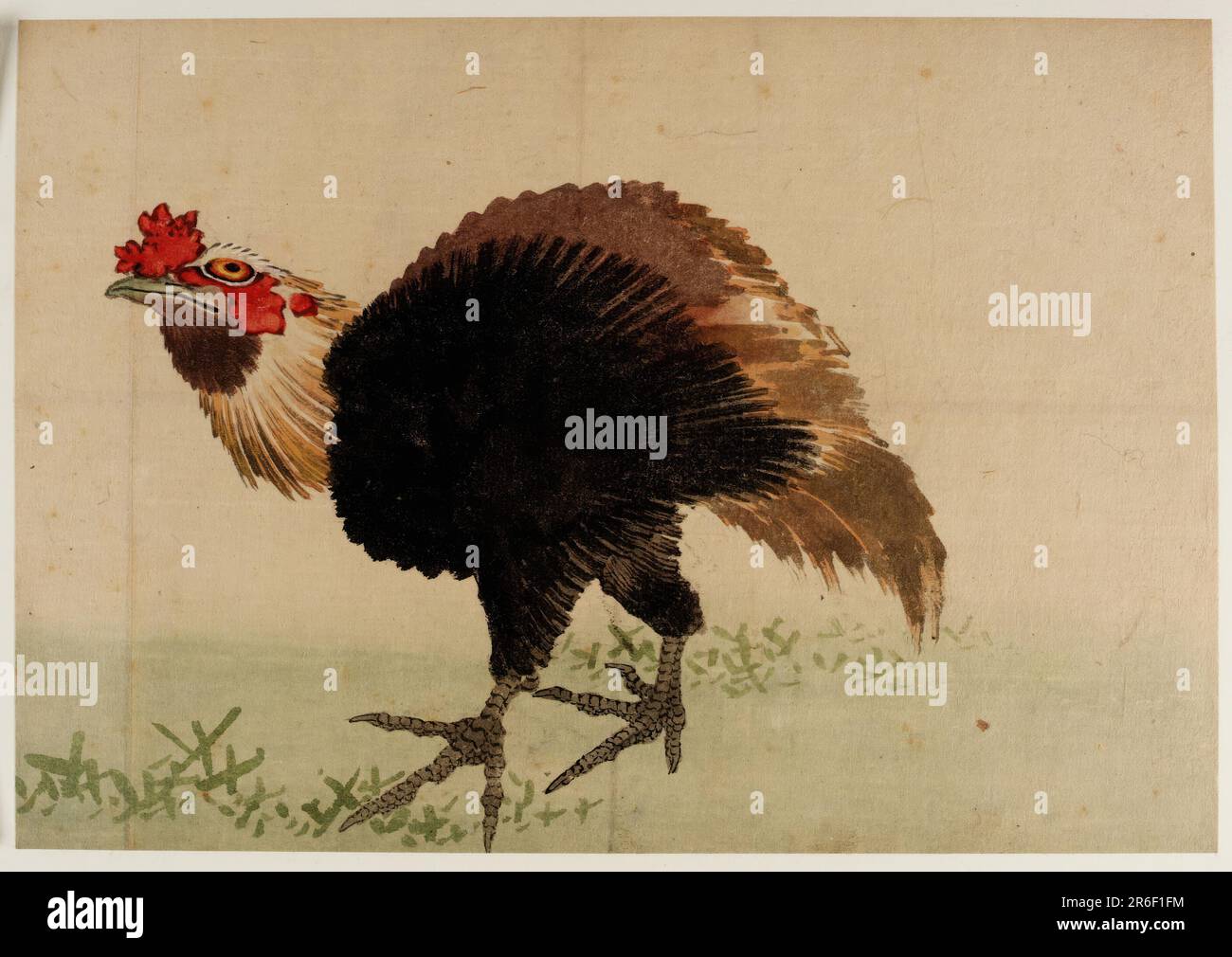 Rooster. Origin: Japan. Period: Edo period. Date: 1760-1849. Ink and ...