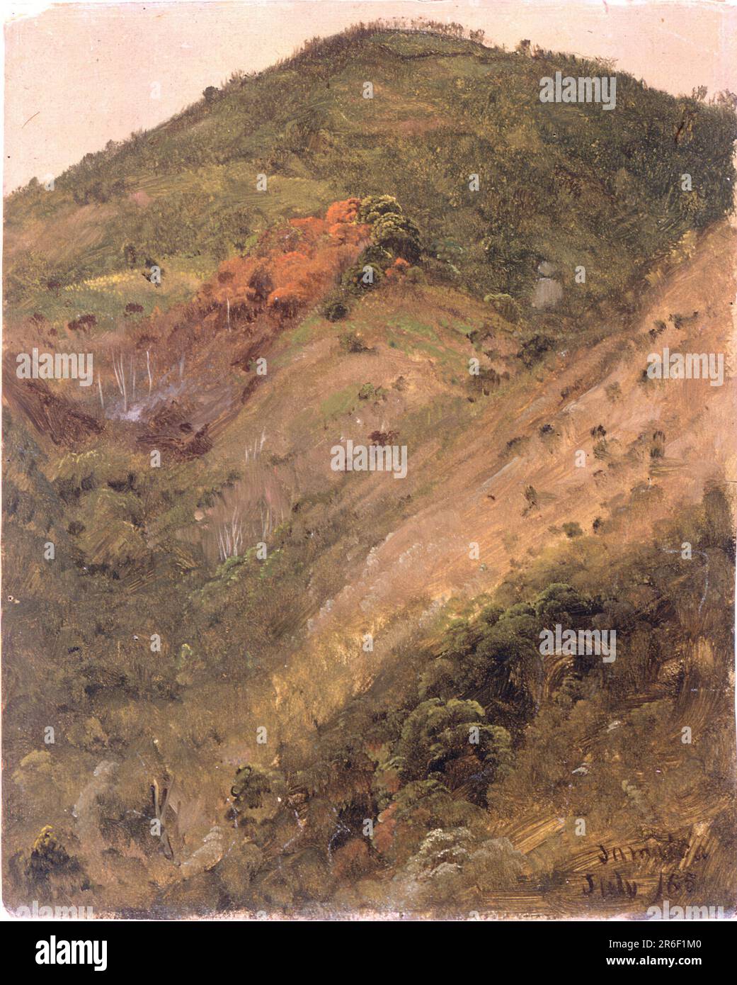 The slope of a wooded hill is seen. Place and date at bottom right ...