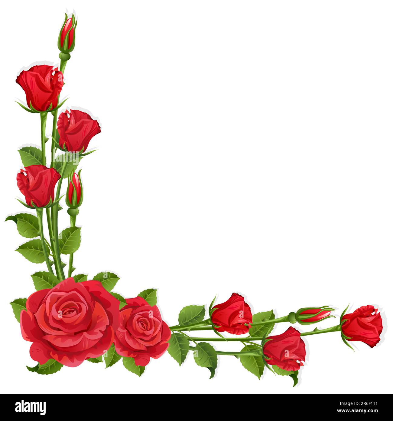 White background with red roses Stock Vector Image & Art - Alamy