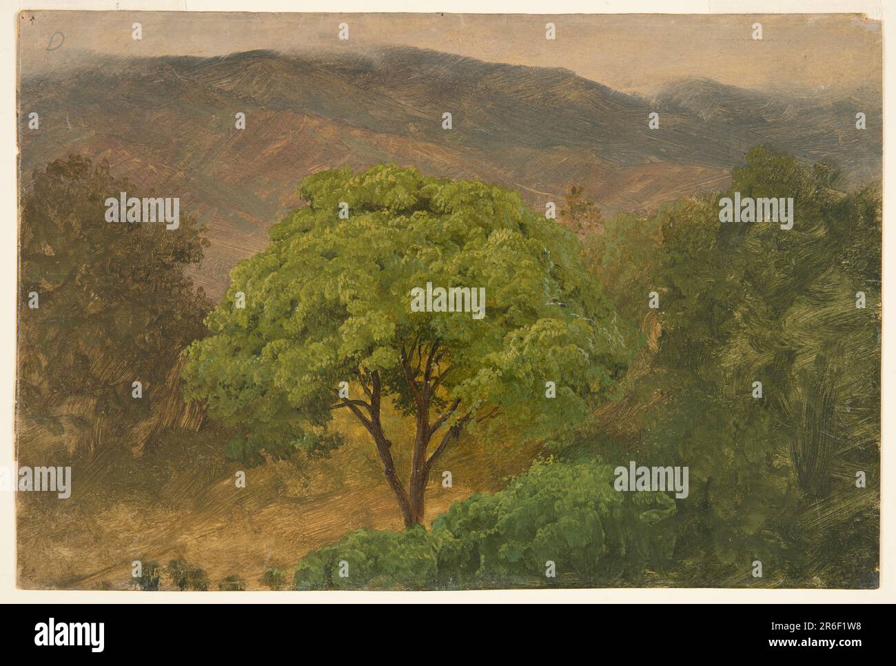 Trees are shown in the foreground and middle plane. A mountain range is ...