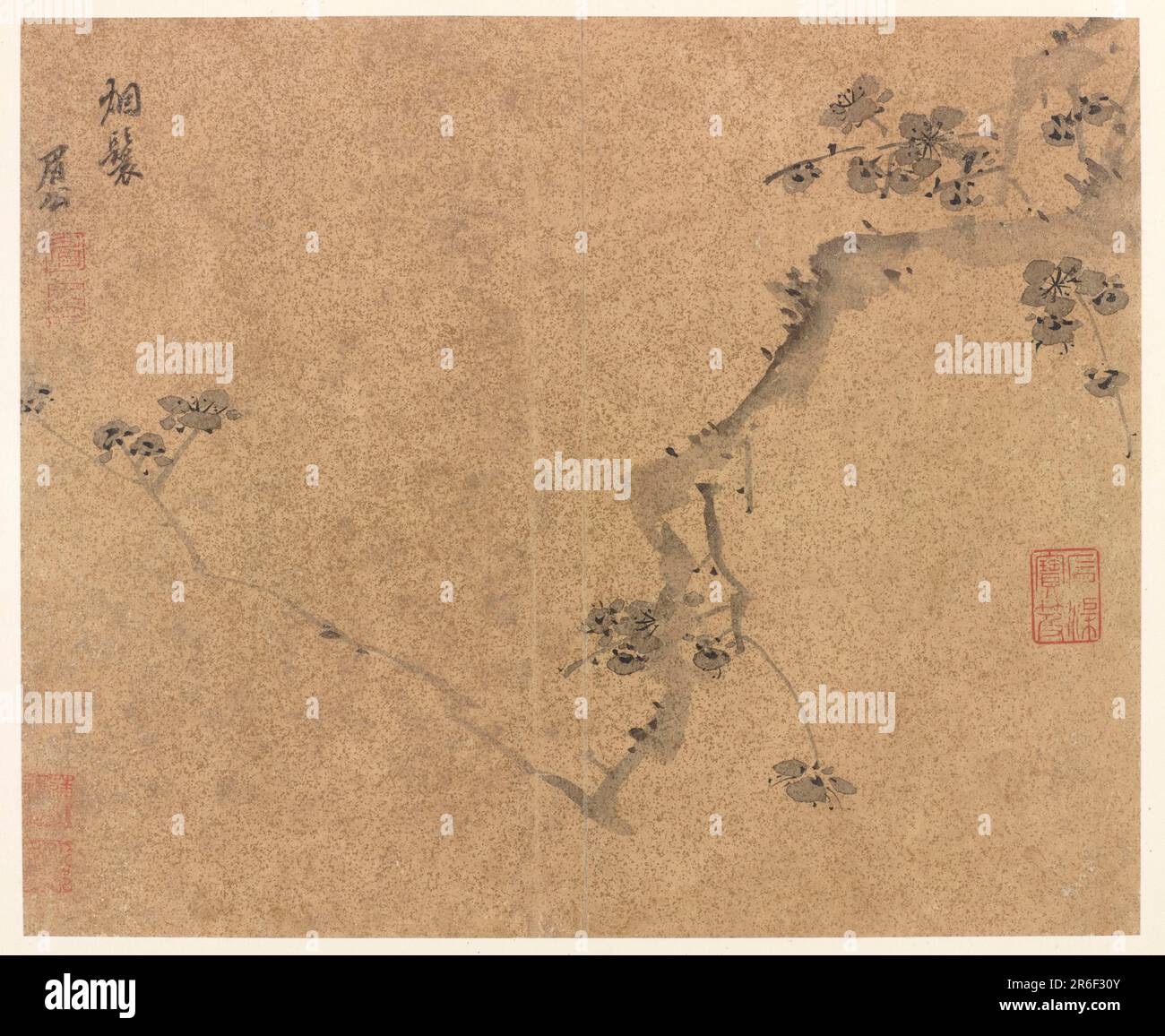 Planta chen hi-res stock photography and images - Alamy