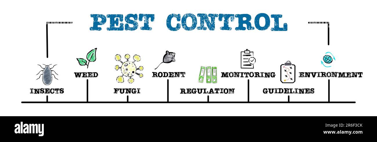 Pest Control concept. Illustration with keywords and icons. Horizontal ...
