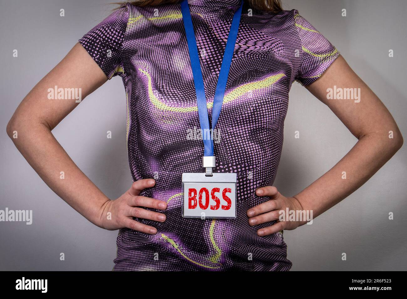 Business woman boss. Education, career and success concept Stock Photo ...