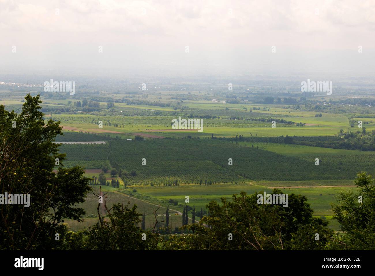 Alazani valley landscape and view in Kakheti, Georgia Stock Photo - Alamy