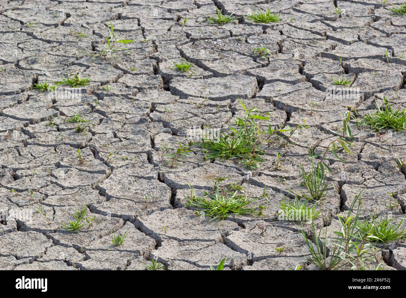 dry land in the dry season Drought, ground cracks, no hot water. Lack ...