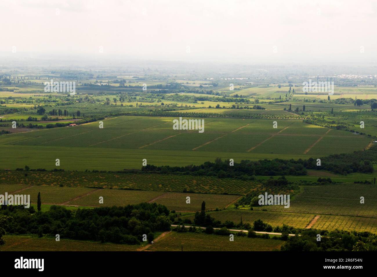 Alazani valley landscape and view in Kakheti, Georgia Stock Photo - Alamy