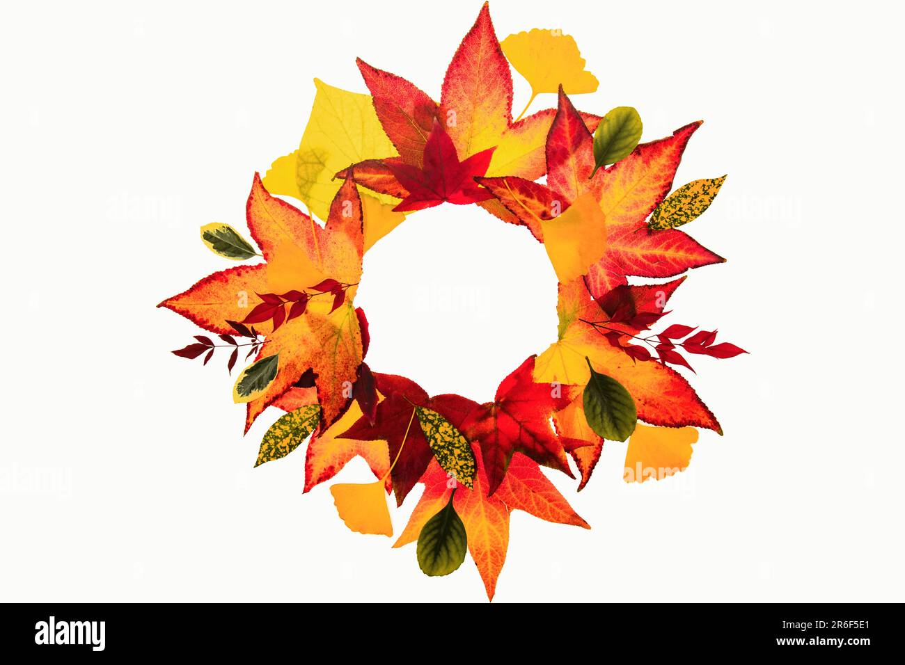 Autumn frame for design banners, leaflets, posters with space for your ...