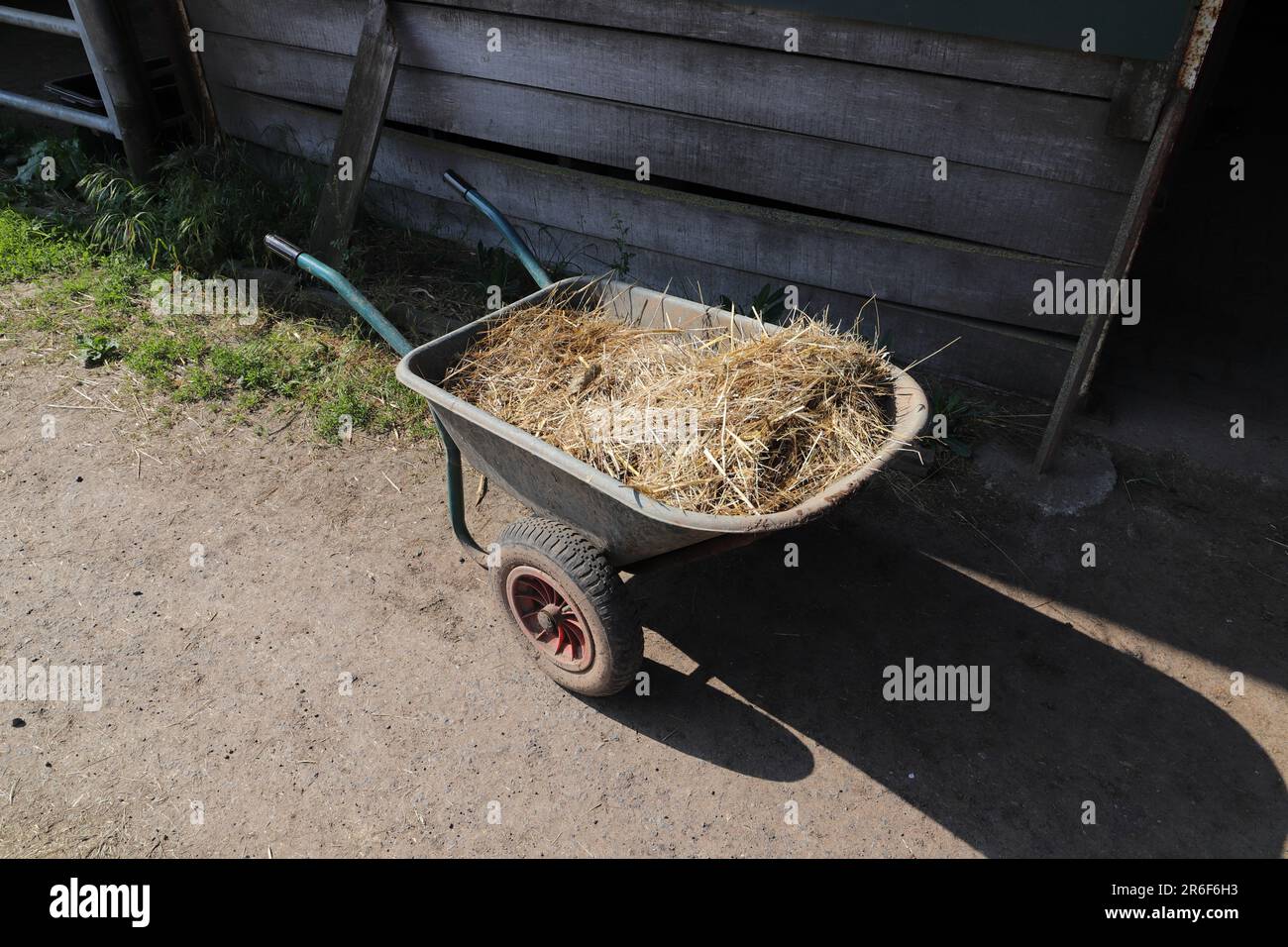 a wheelbarrow loaded with hay Stock Photo - Alamy